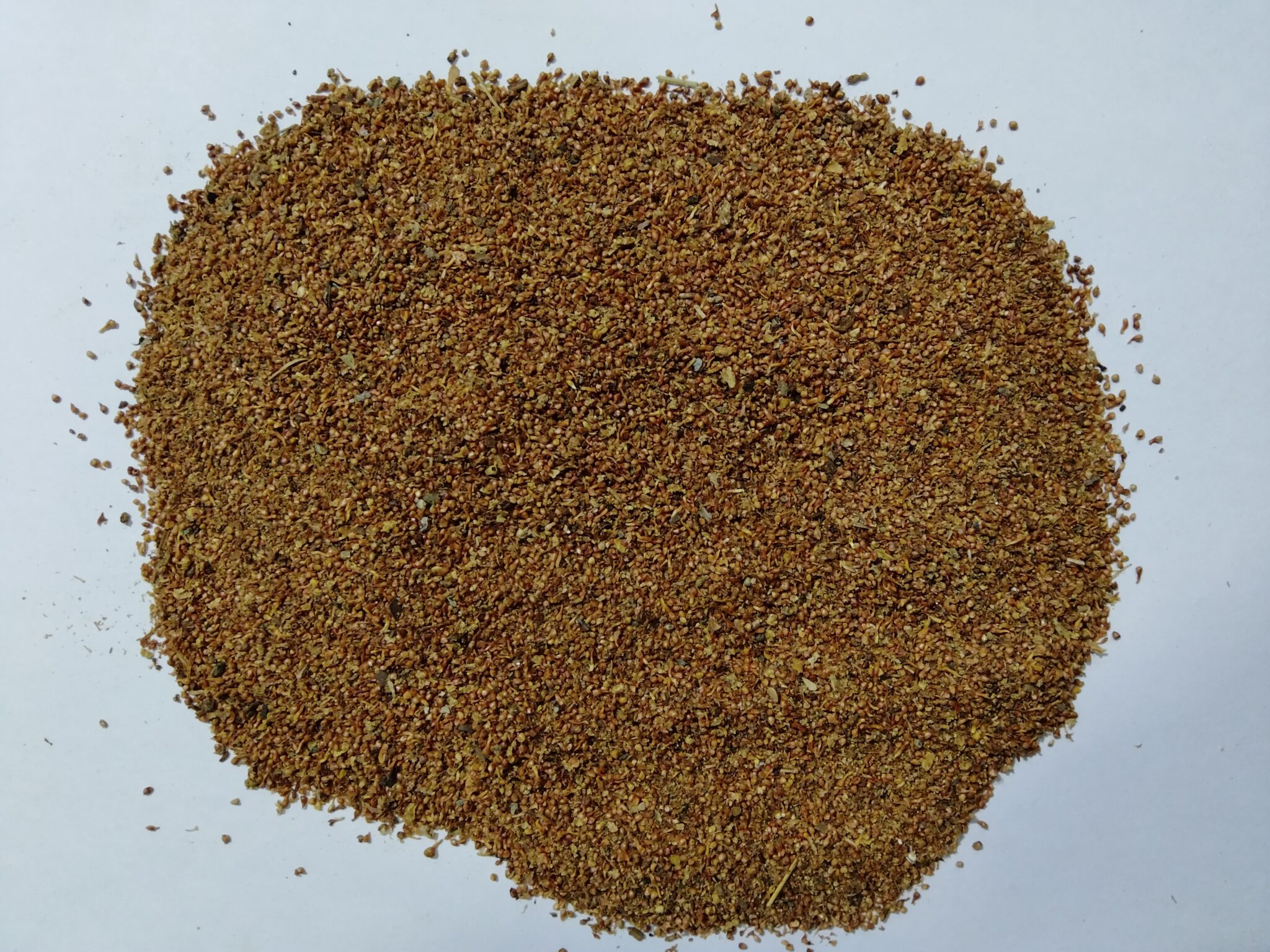 Lavanga pattai - Home