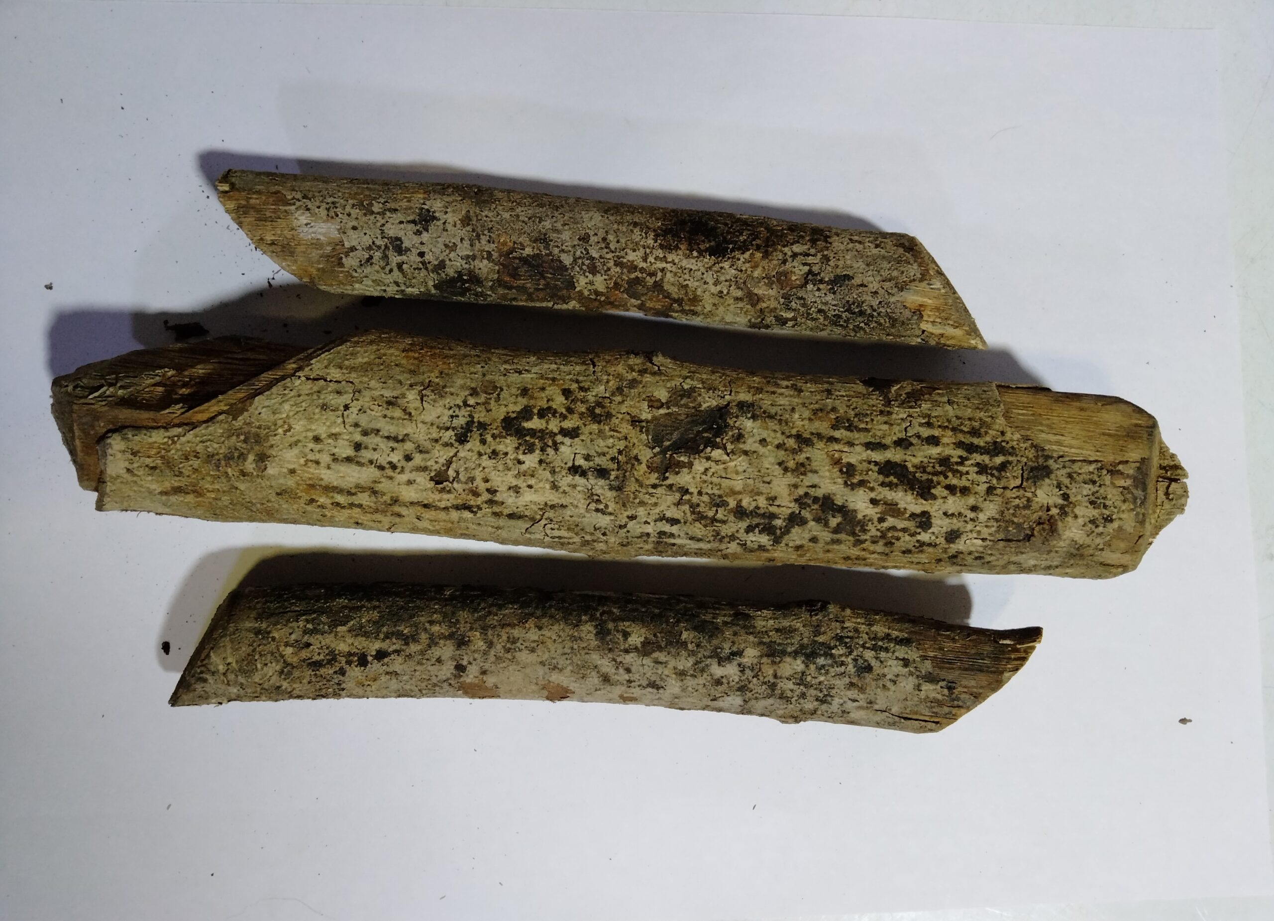 Aththi Kattai (Anjeer) - Home